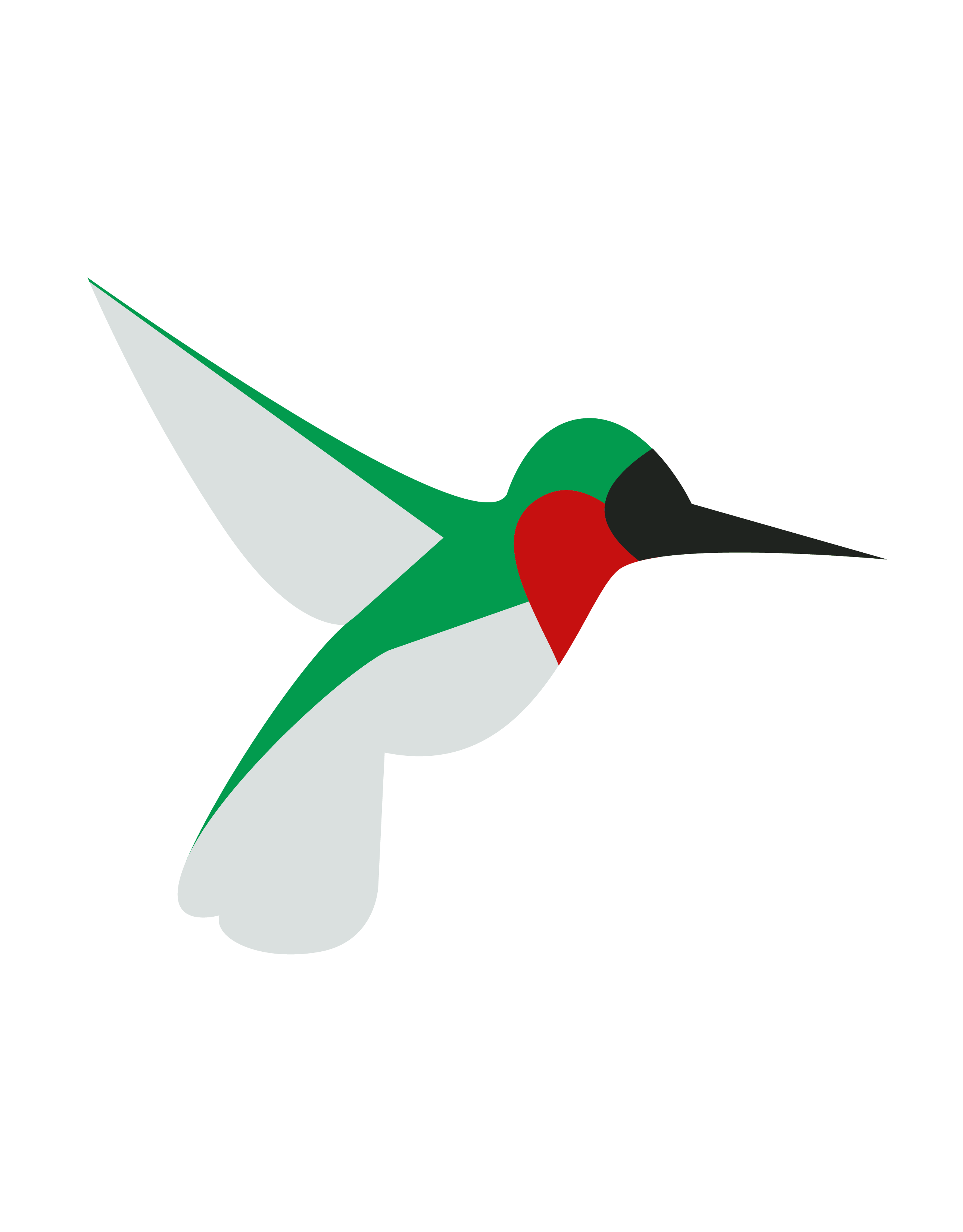 Hummingbird Adventures - American School of Santo Domingo