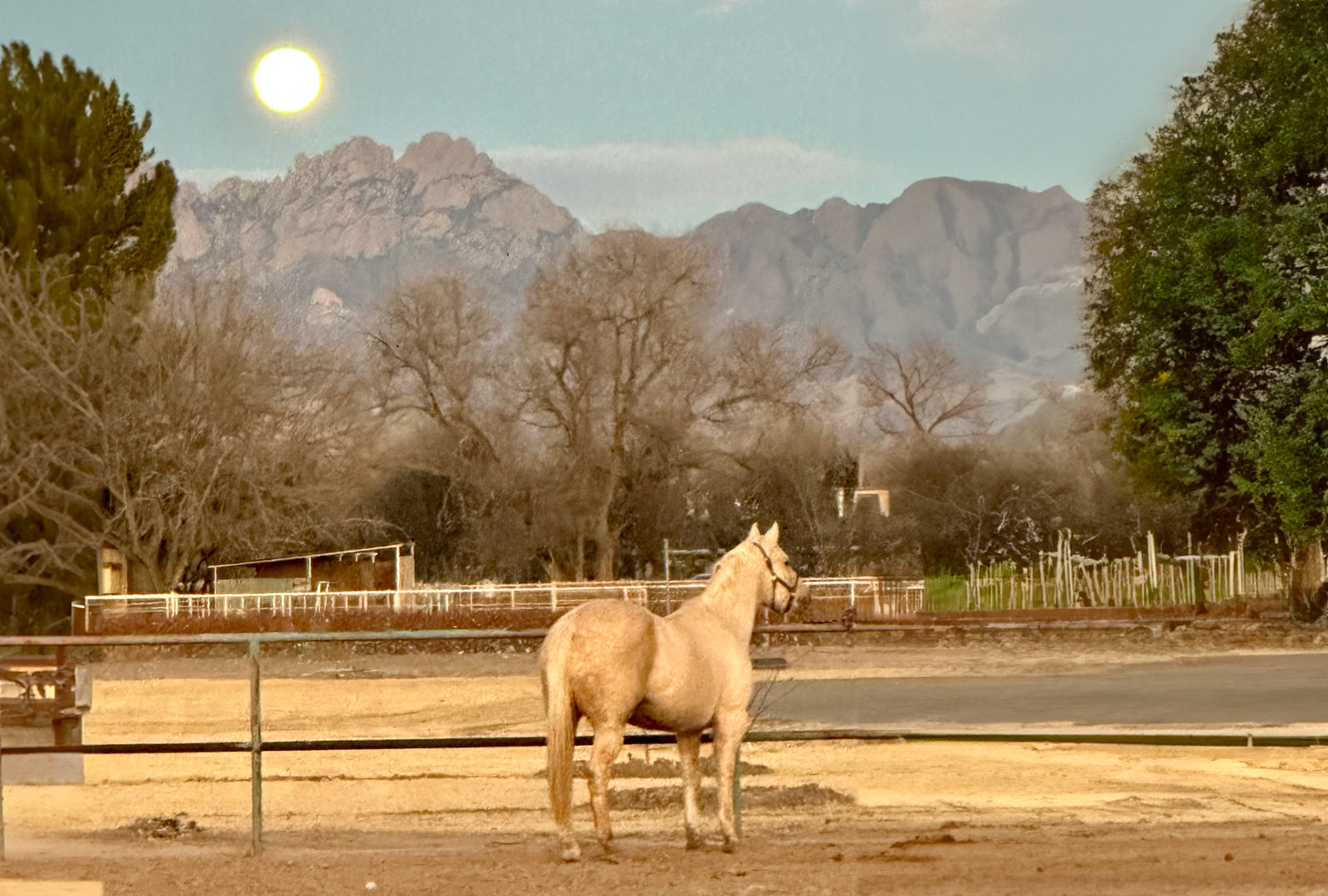Locations - Bridle Up Hope