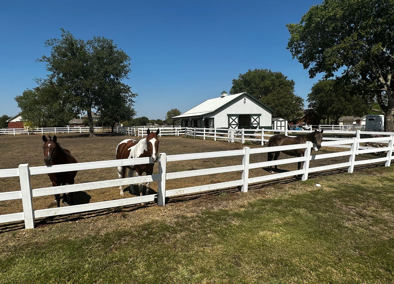 Locations - Bridle Up Hope