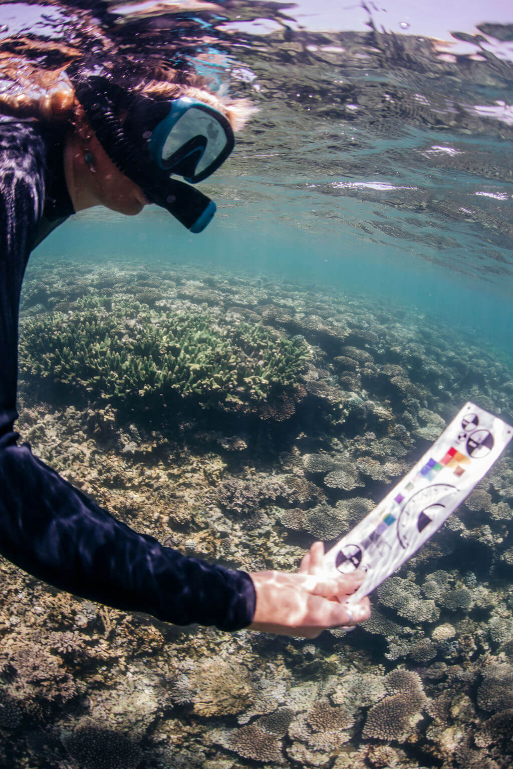 Alleviation of hypoxia by biologically generated mixing in a stratified ...