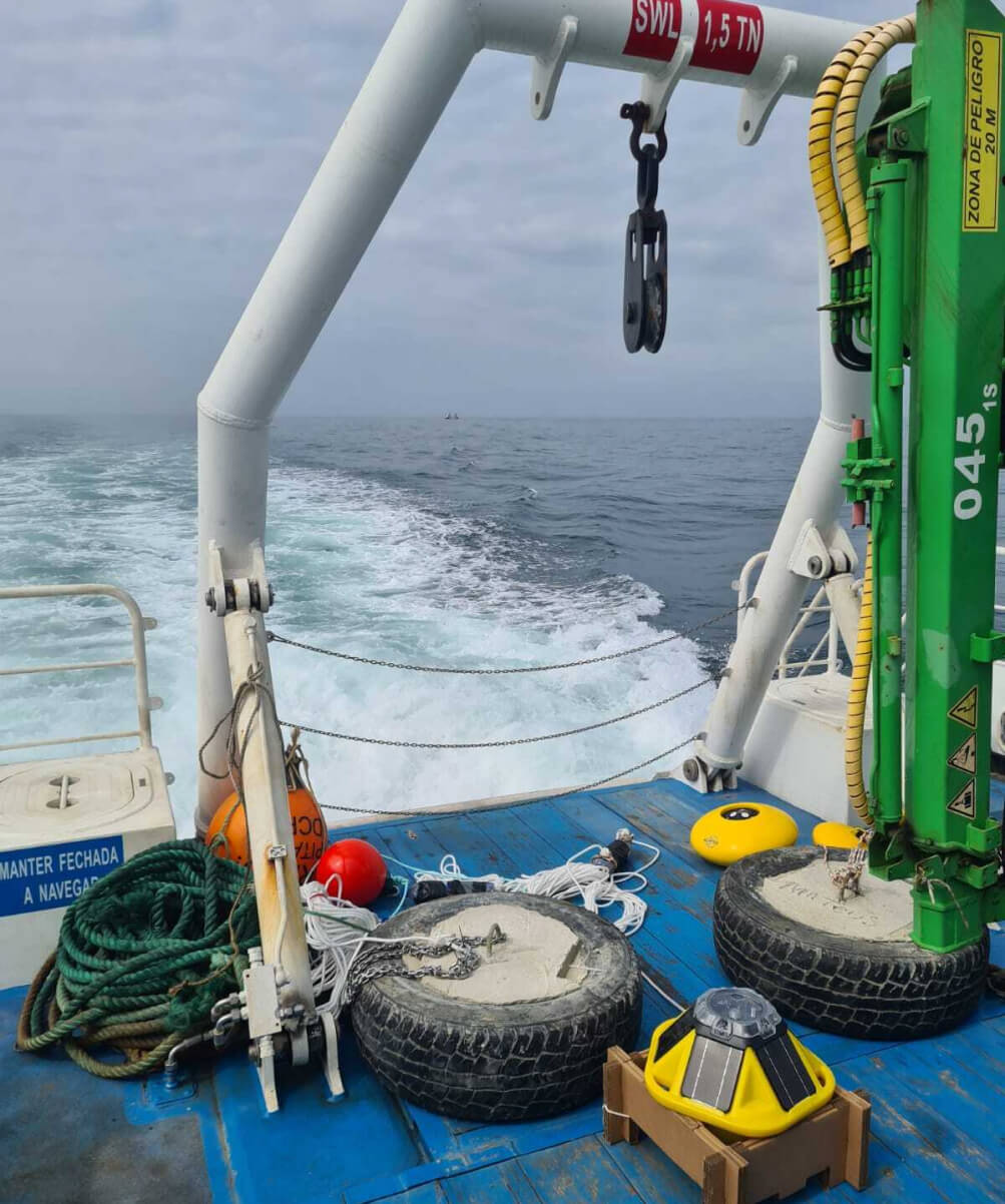 Real-time assimilation using a dense array of directional wave observations