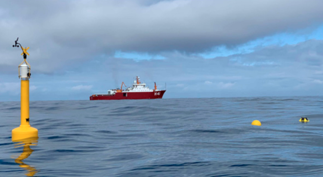 Wave Anomaly Detection in Wave Measurements