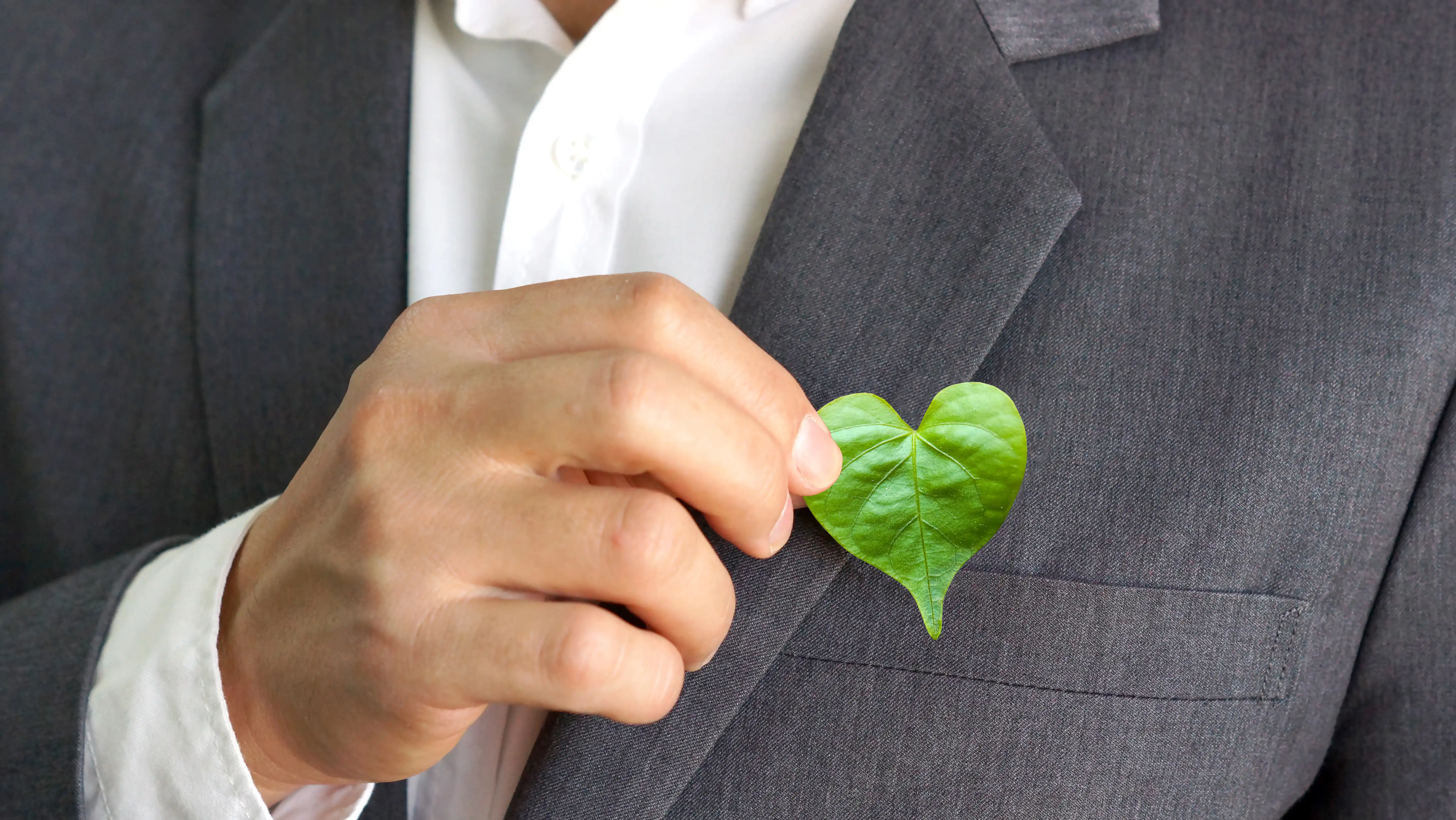 European Commission's CSRD and ESRS: Advancing Global Sustainability ...