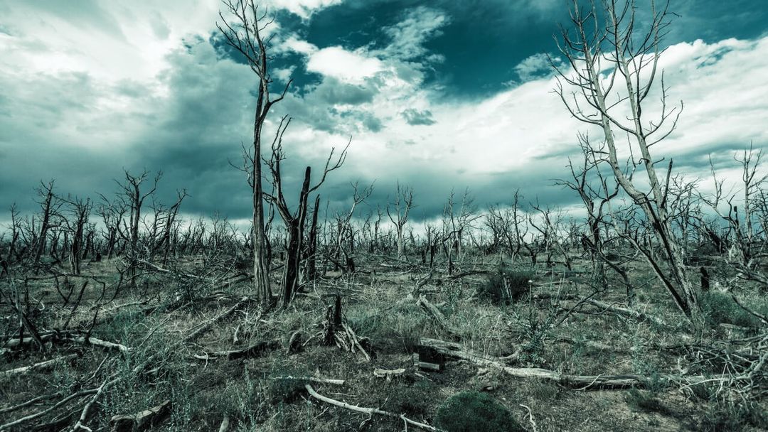 Disaster Story Ideas and Elements | The Blog | The Novelry