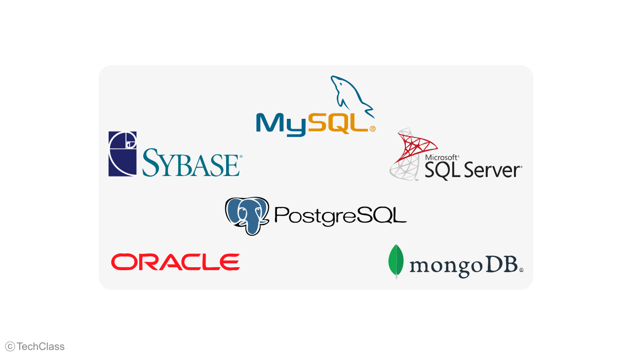 Decoding Database Basics | TechClass Start