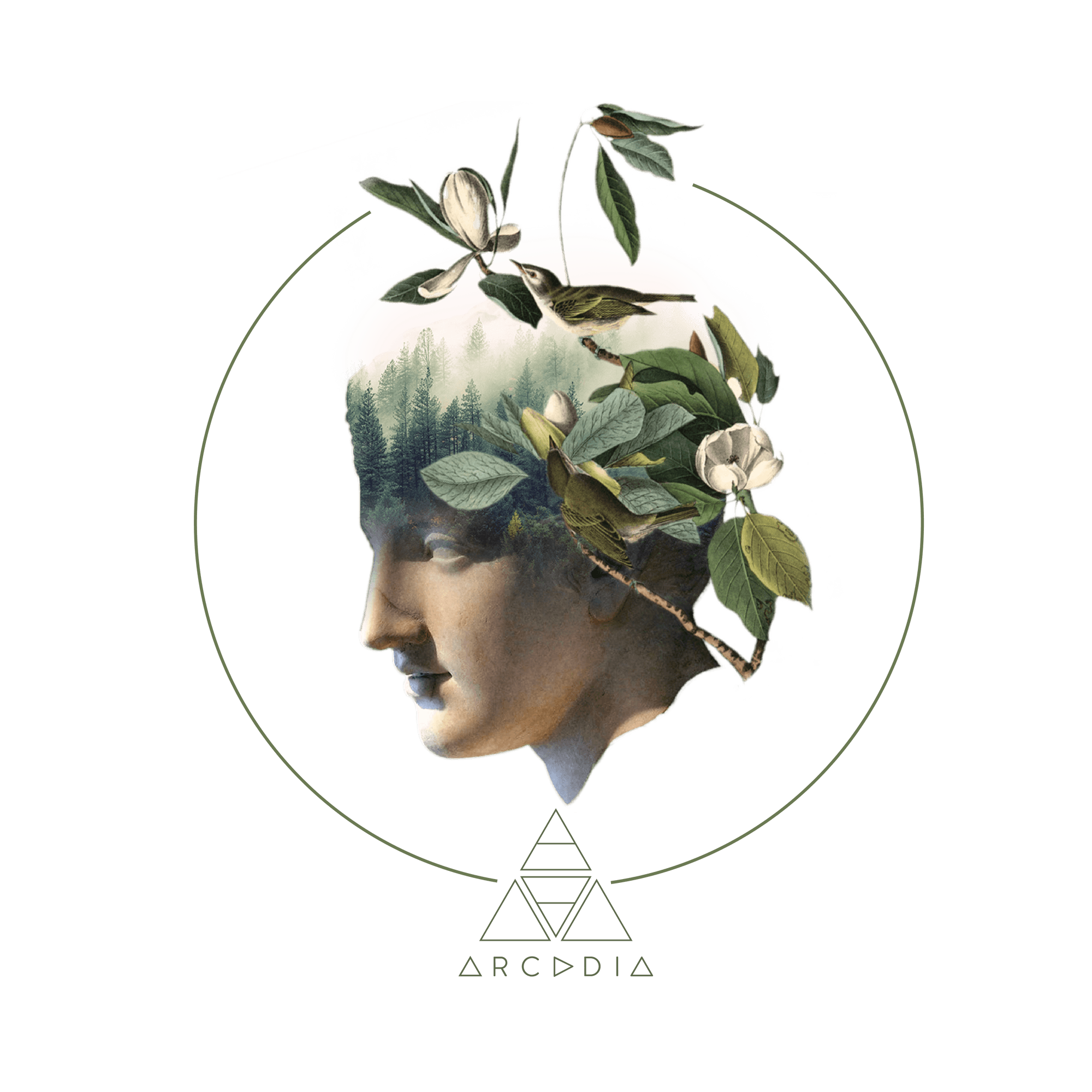 Arcadia Earth | An Immersive Art & Technology Experience