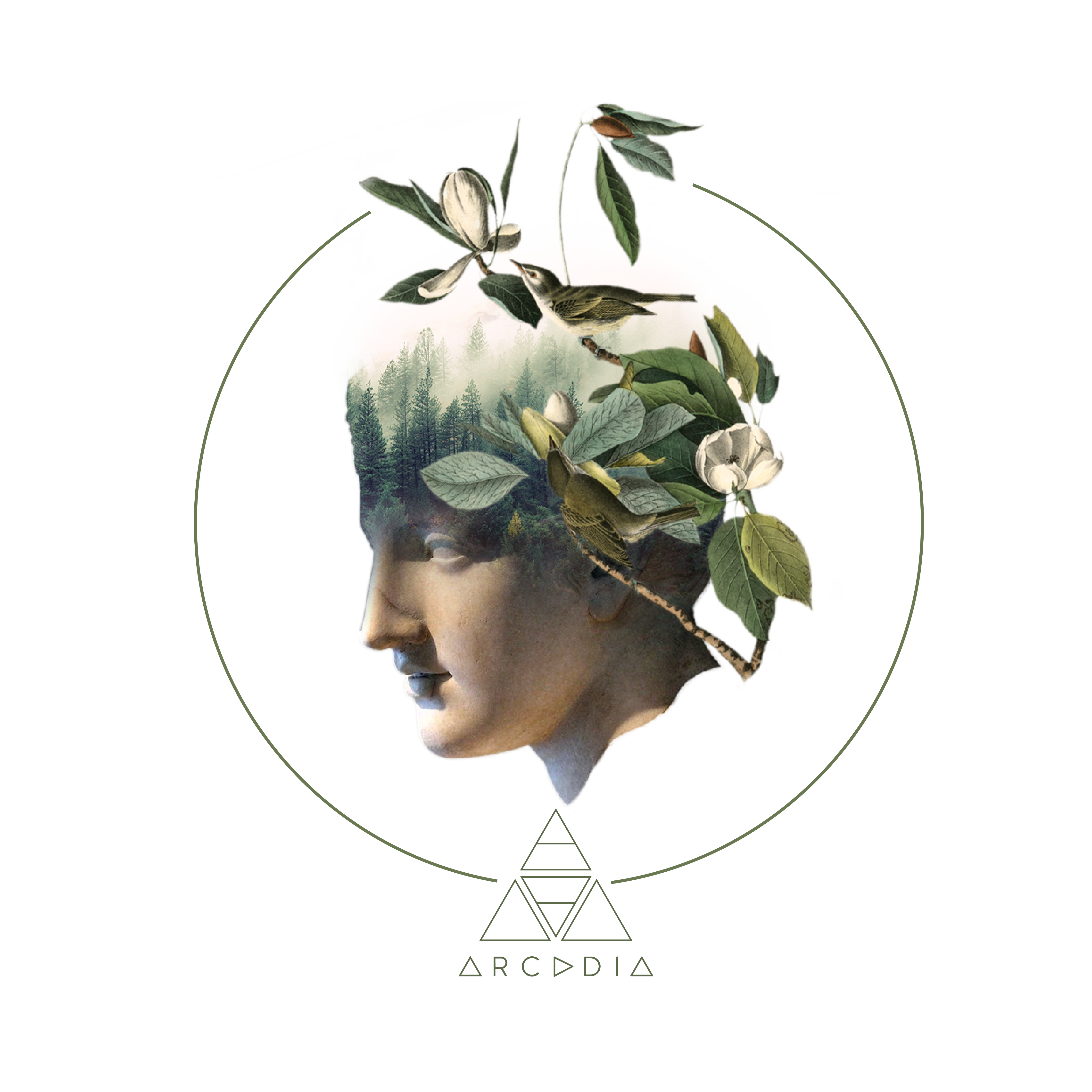 Arcadia Earth | An Immersive Art & Technology Experience