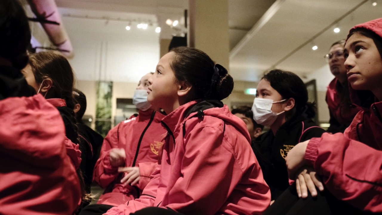 Sea - Digital Marketing & Content Agency Wellington