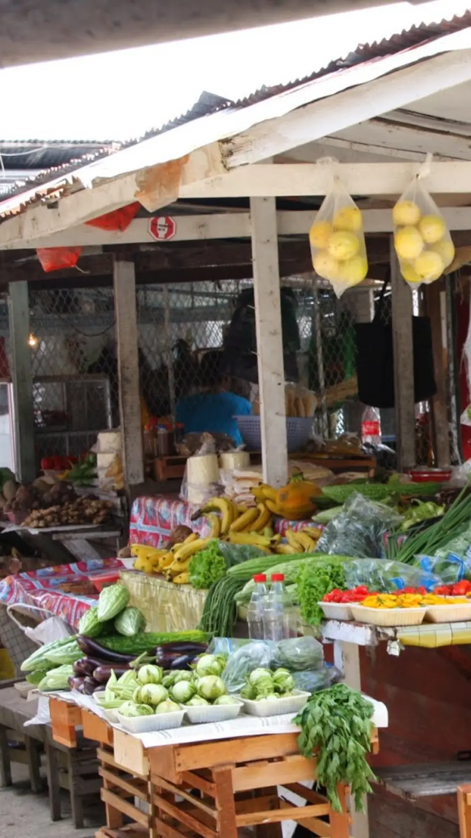 SUforYou | De beste binnenlandse trips & tours in Suriname