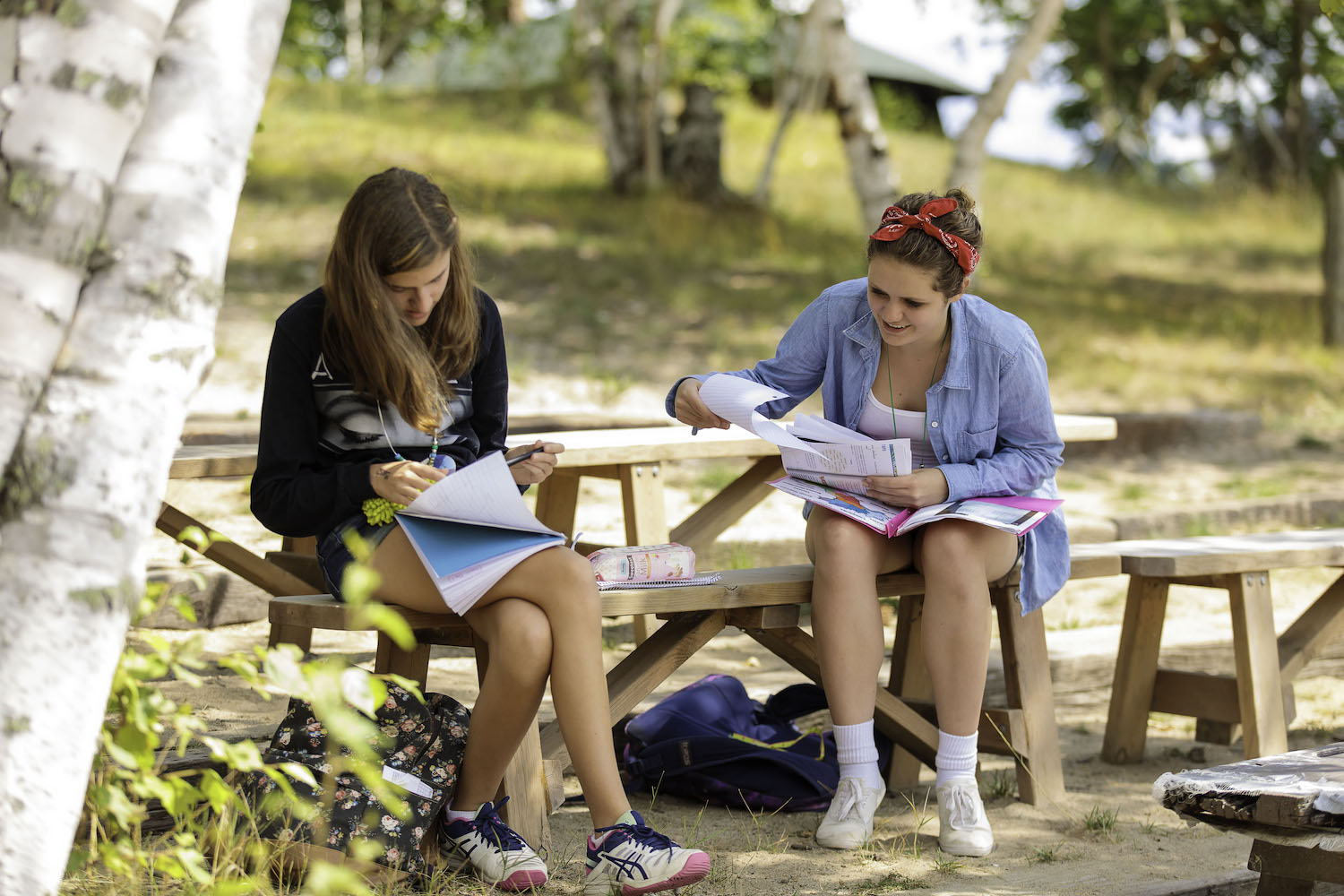 High School Credit | Concordia Language Villages