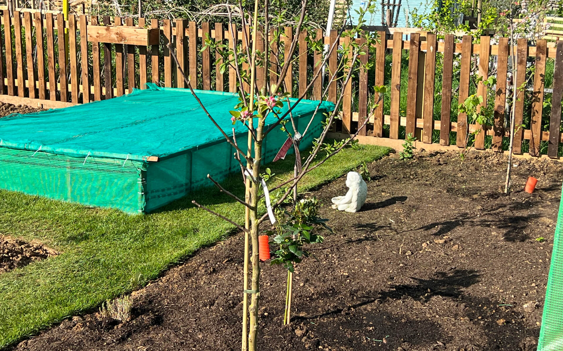 Allotment clearance & fencing | Apollo 18 Landscapes