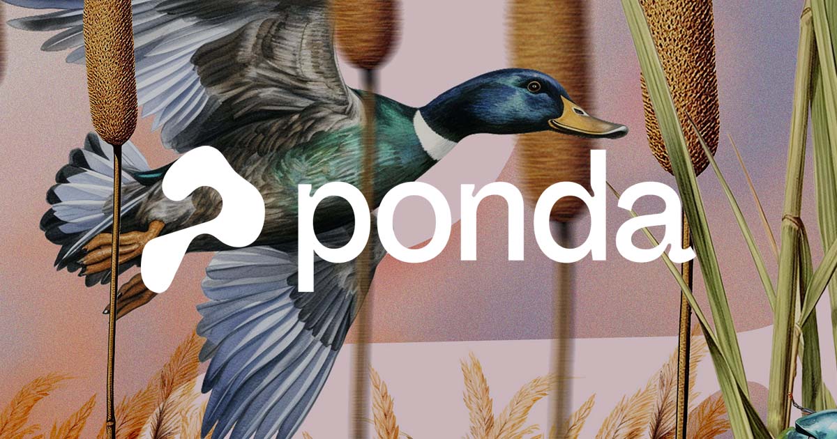 Ponda | Ancient Forest Friendly And Next Generation Solutions Policy