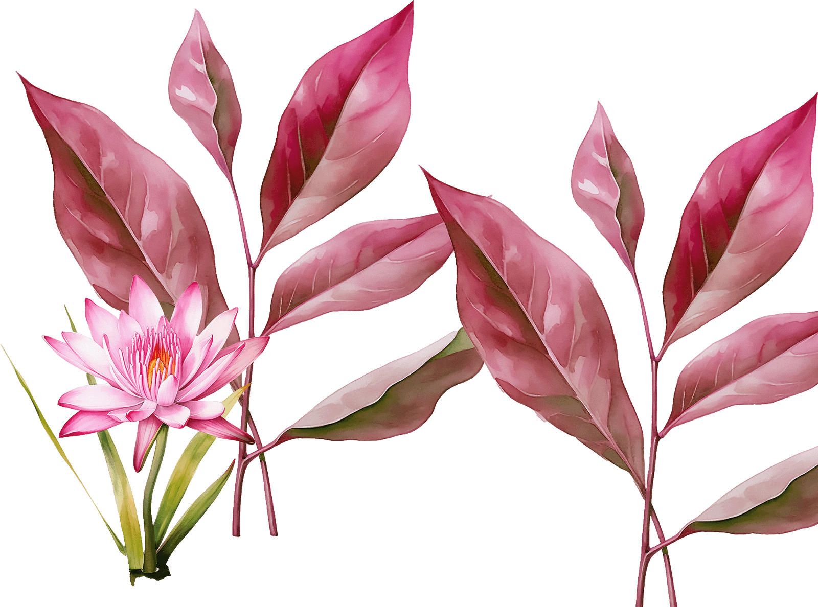 Ponda - Planet Regenerating fibres