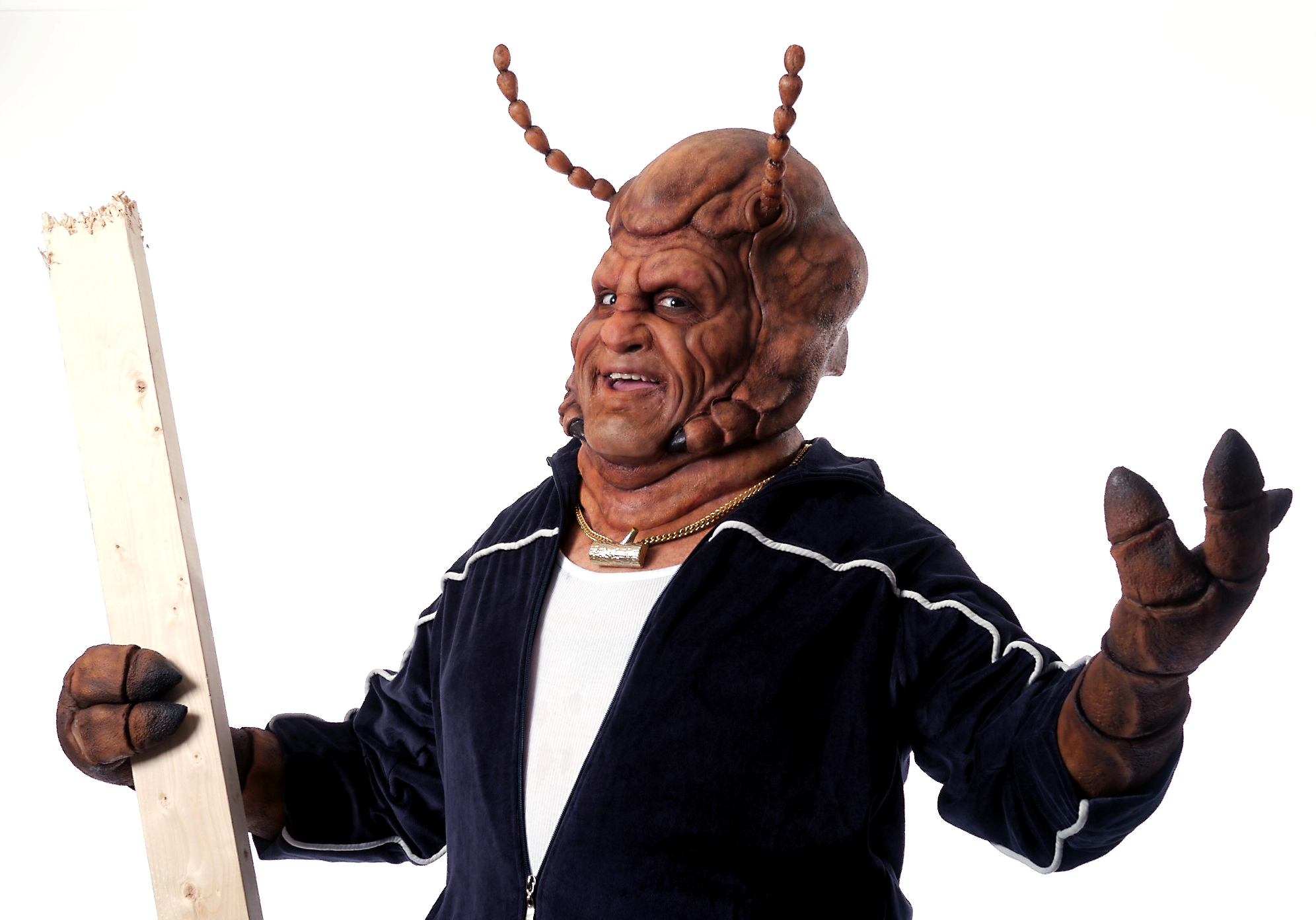 Blue Whale Studios | Gallery