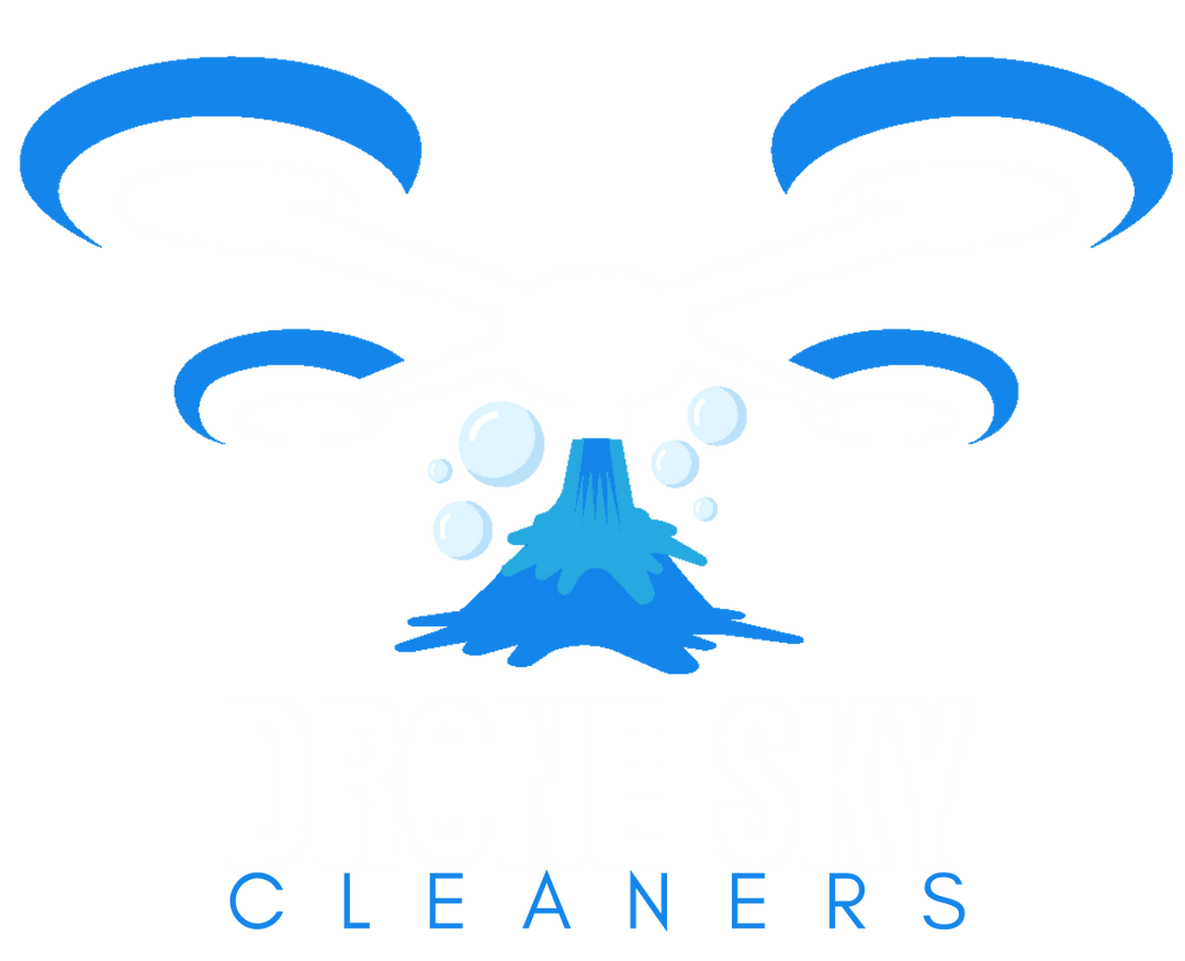 Drone Cleaning Services Toronto | Drone Window Cleaning Company Toronto