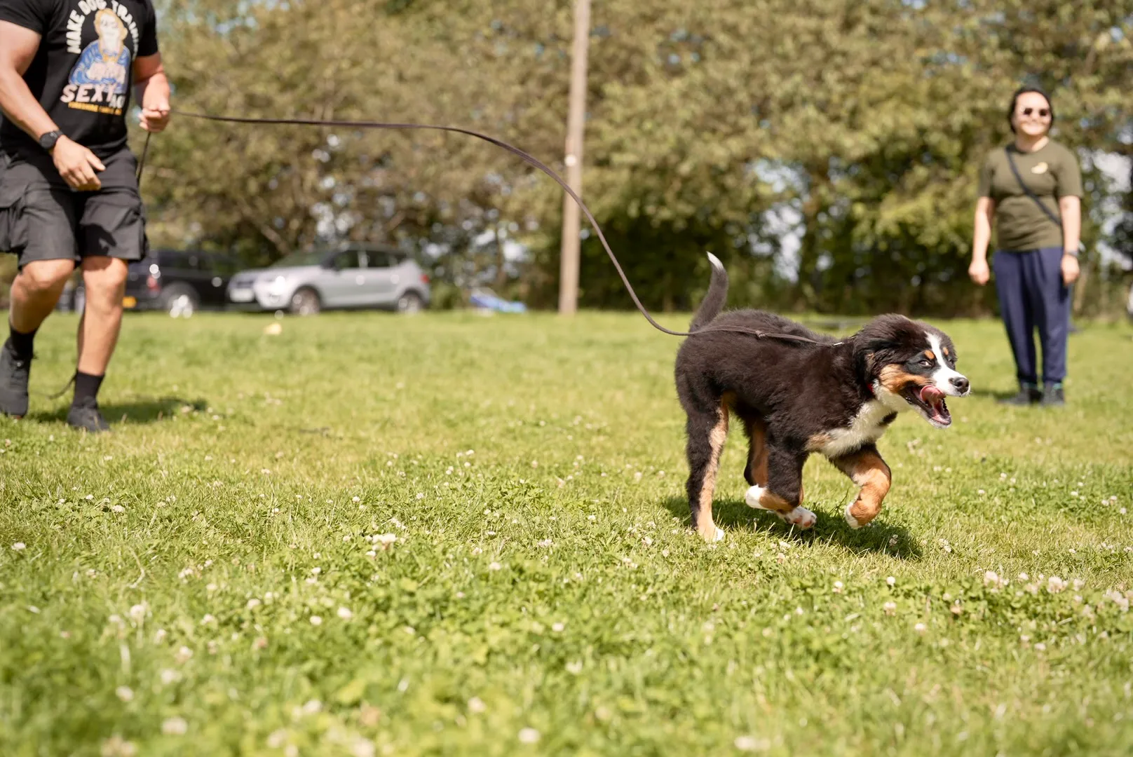 Leeds Puppy Training Classes | Happy, Well-Rounded Dogs