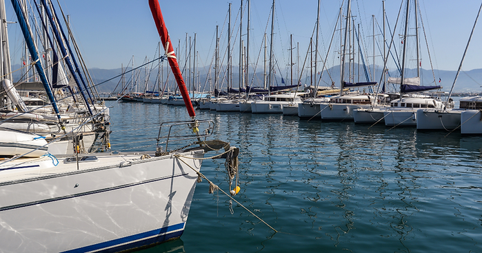 Understanding Your USCG License: A Complete Guide