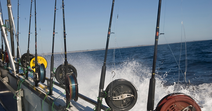 Can Office Staff Sign Your CG-719S Form? Know the Rules