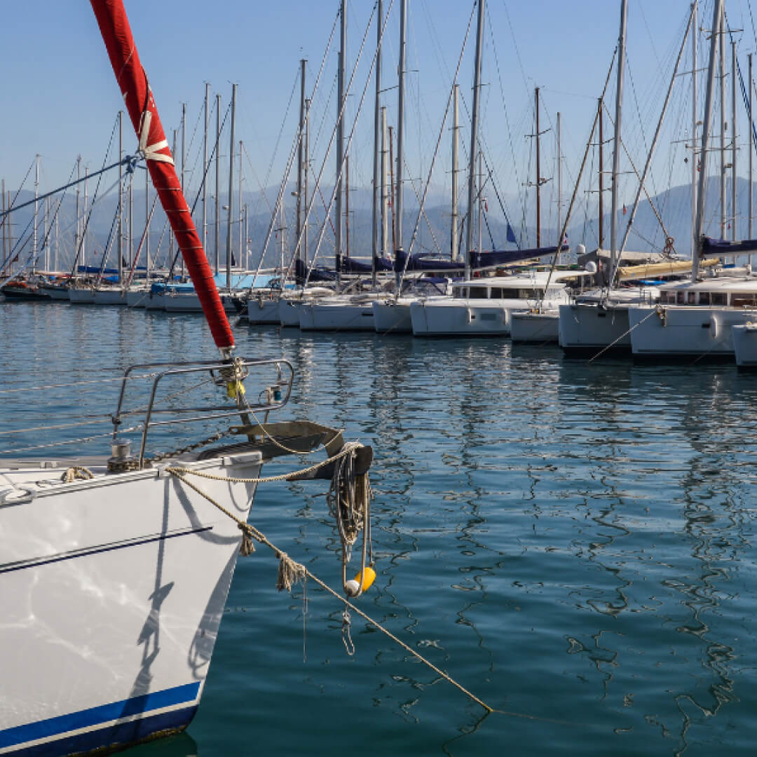 Understanding Your USCG License: A Complete Guide