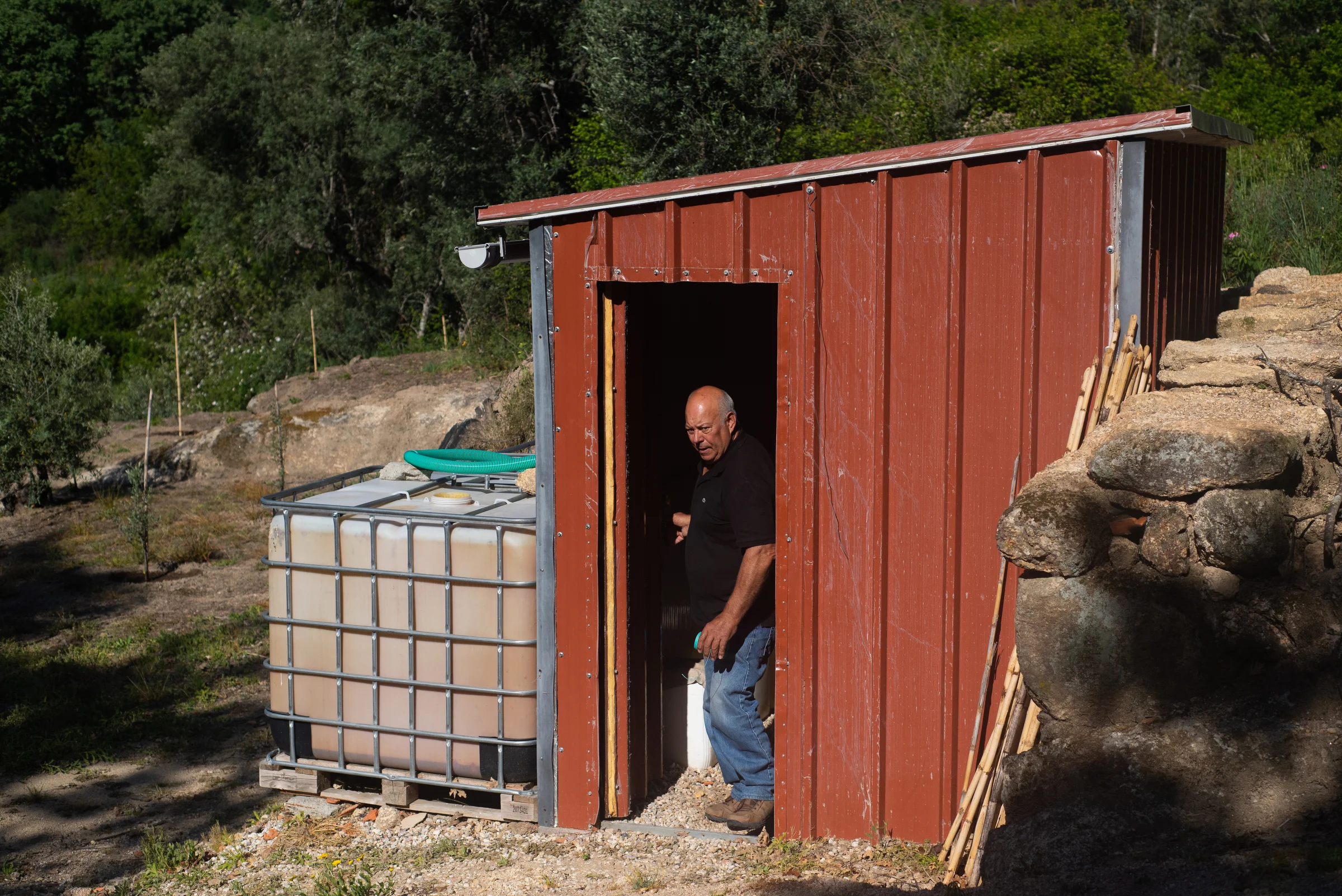 Mario Torres: Bricklayer turned to gardener — 1 in 6 by 2030