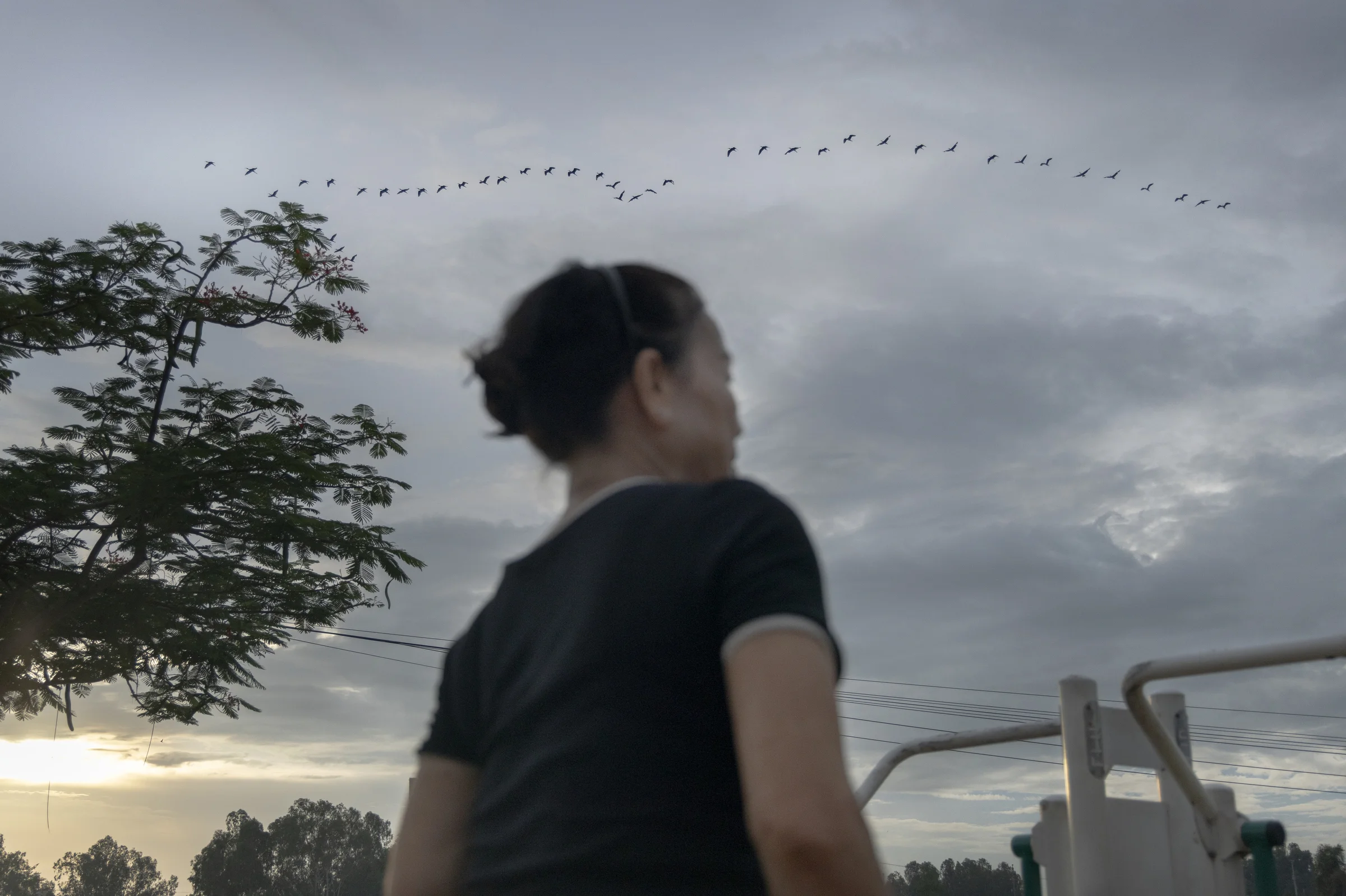 Nguyen Thi Lan: Rhythms of Life — 1 in 6 by 2030