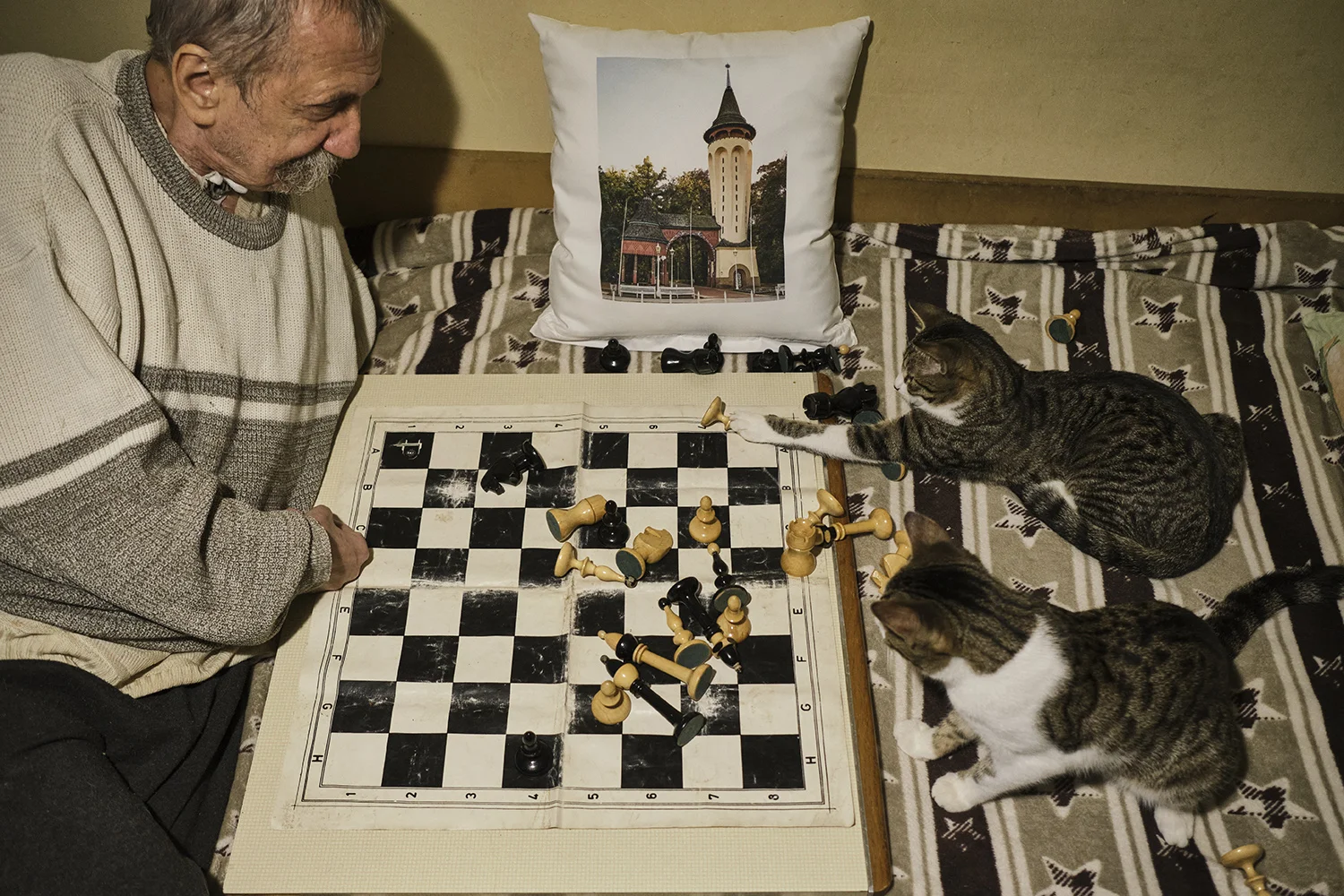 Branislav Delic: Little Princess Will Show the Way — 1 in 6 by 2030