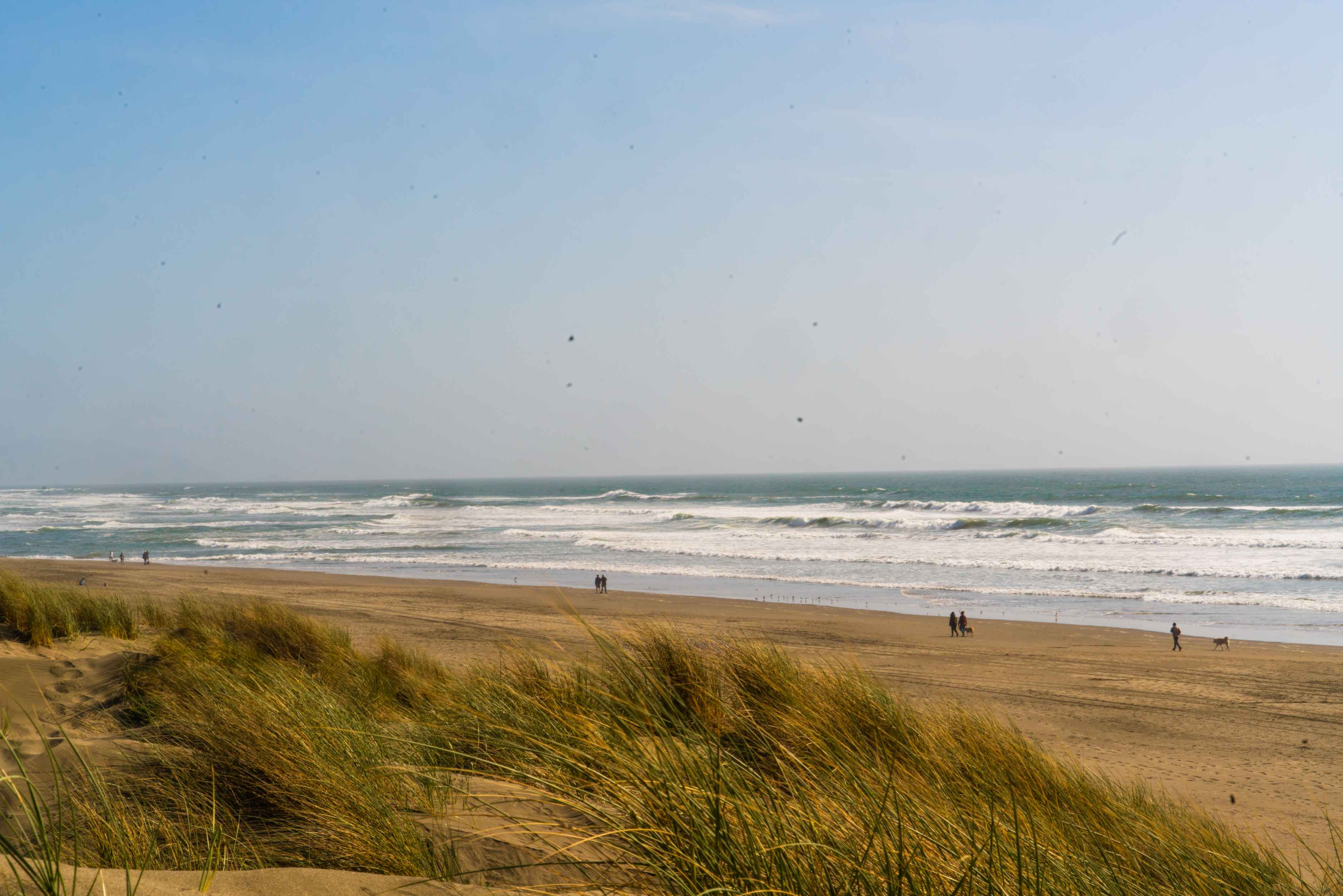 Drink Suntide | Join The Tide