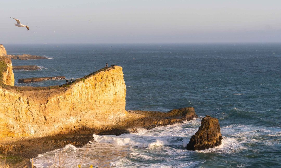 Drink Suntide | About