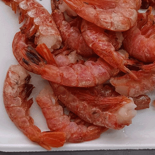 Shop Fresh Seafood Products | Yochums Seafood Farm | Knox County ...