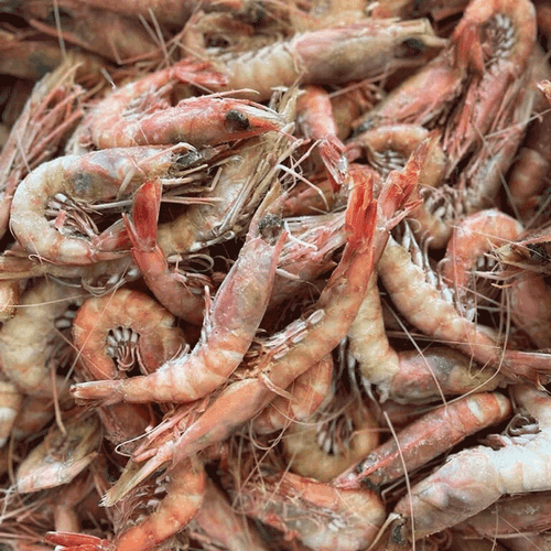 Shop Fresh Seafood Products | Yochums Seafood Farm | Knox County ...