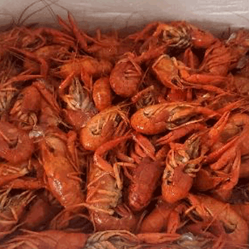 Shop Fresh Seafood Products | Yochums Seafood Farm | Knox County ...