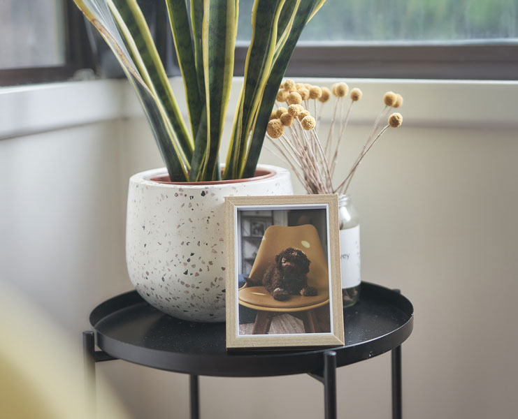 Inclusive and accessible housing