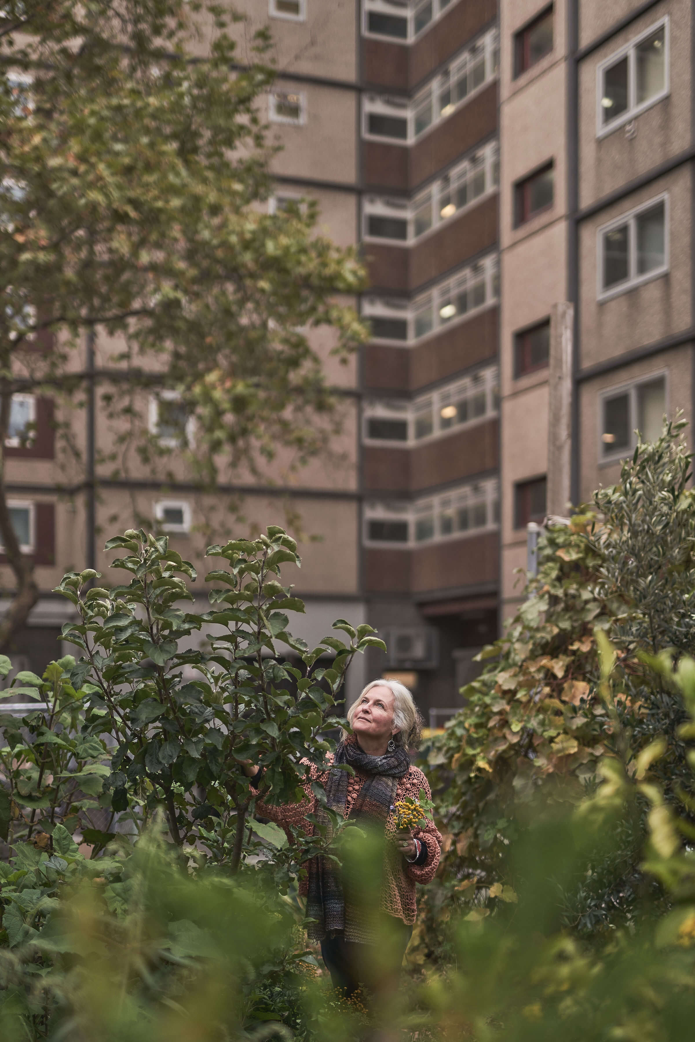 Using social enterprise to fund affordable housing for women