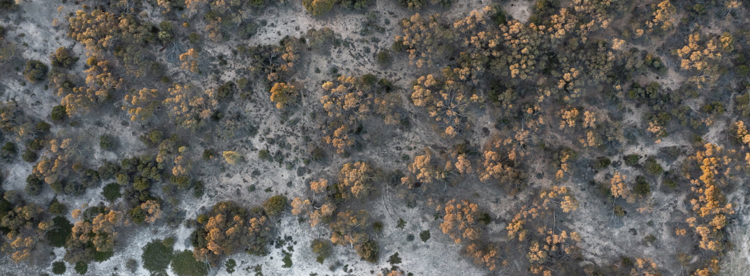 Meet Bram, Bank Australia’s nature and biodiversity manager