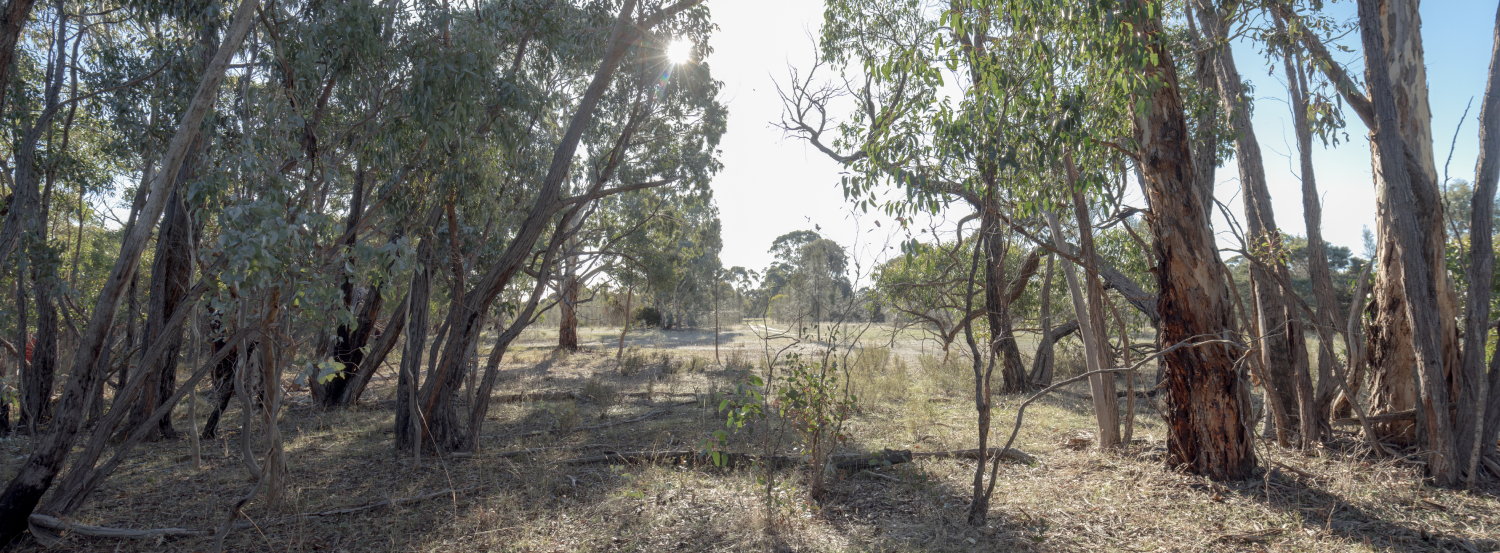 Why does a bank have a climate action strategy manager?