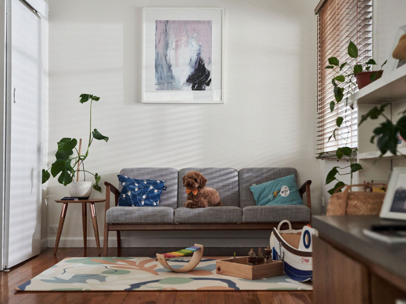 Ways to make your home more energy efficient | Bank Australia