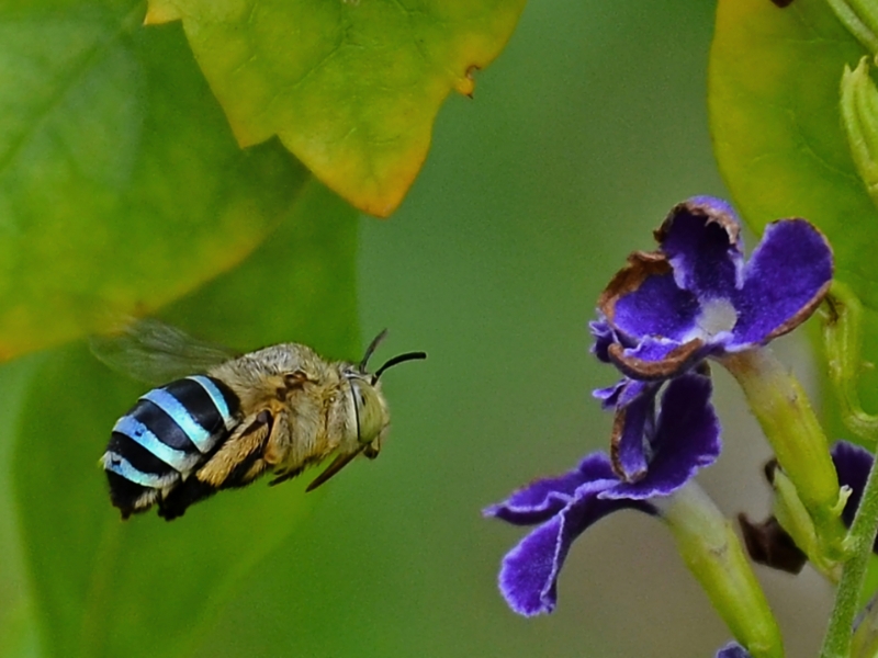 7 Animals Who Make Our Conservation Reserve So Unique