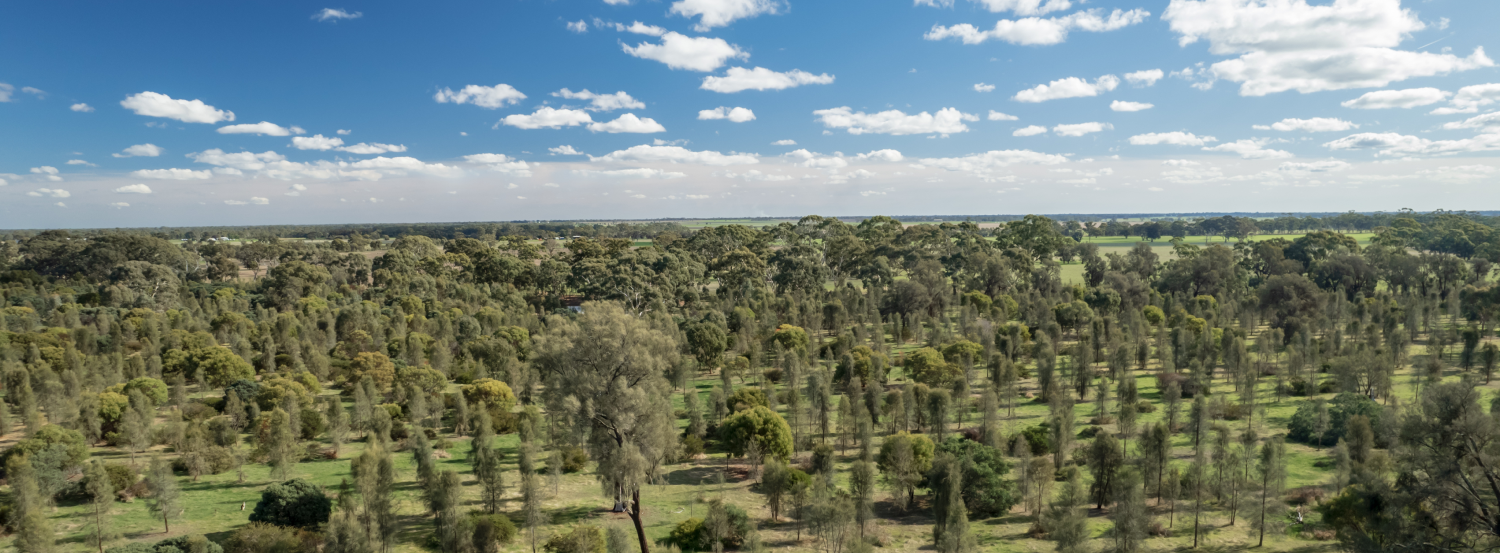 7 Animals Who Make Our Conservation Reserve So Unique