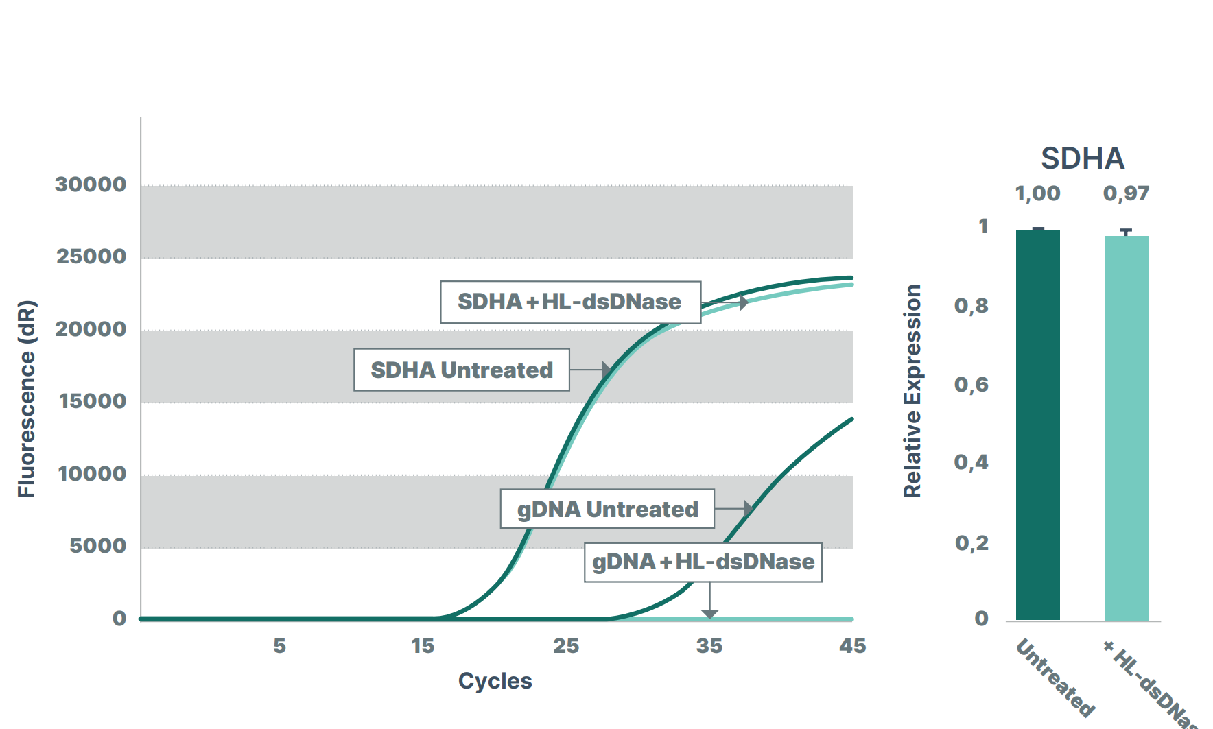 HL-dsDNase: DNA-Specific Endonucleases | ArcticZymes