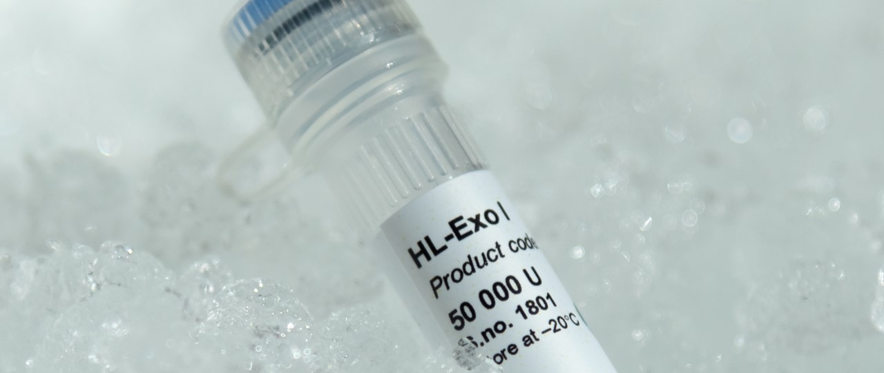 Heat-Labile Exonuclease I - Precision Enzyme | ArcticZymes