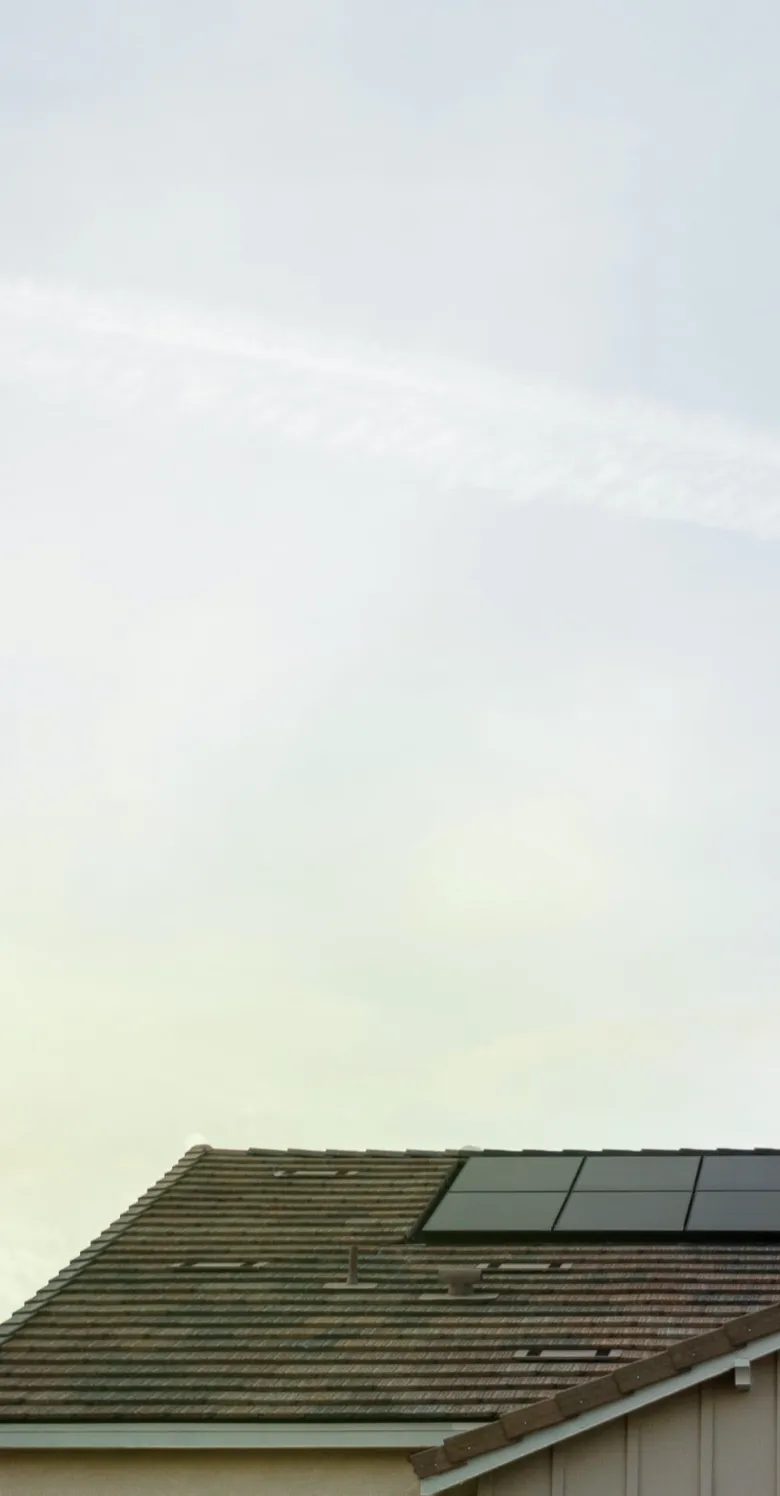 Switched on To Sustainable Solar Power | Synapse