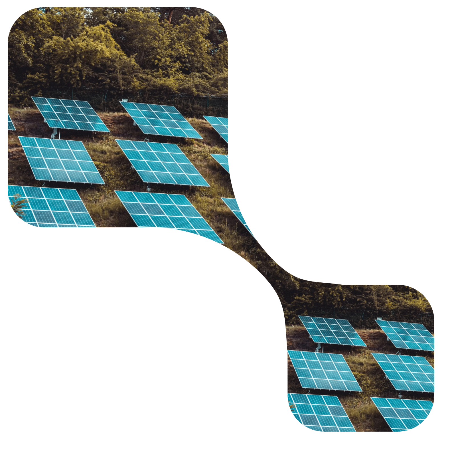 Switched on To Sustainable Solar Power | Synapse