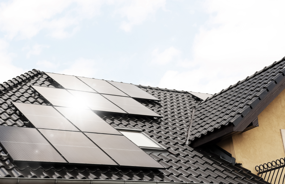 Switched on To Sustainable Solar Power | Synapse