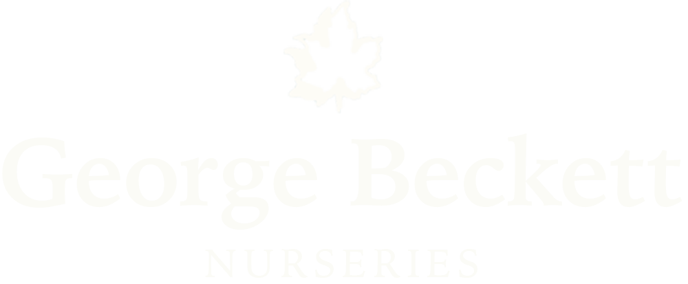 George Beckett Nurseries