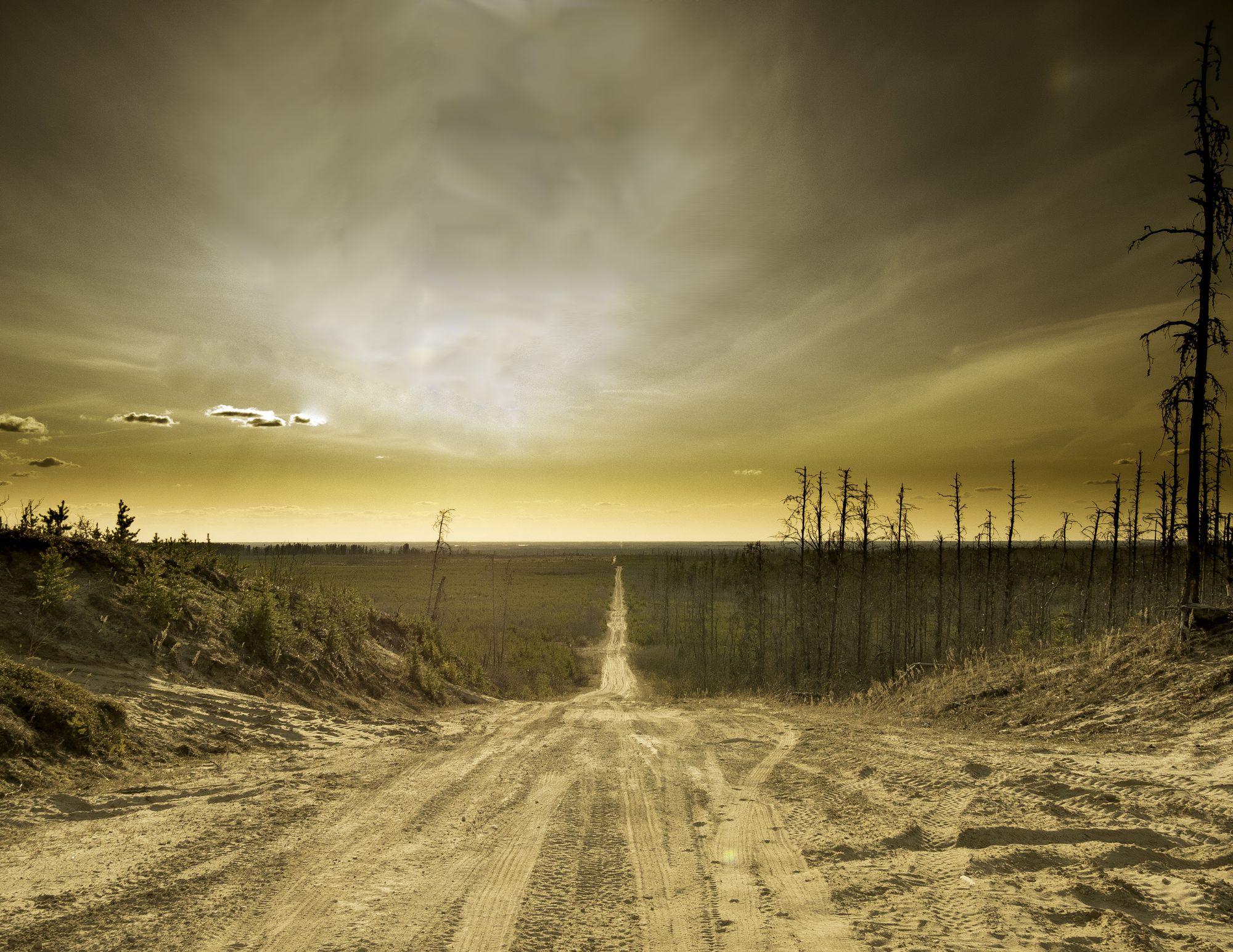 Westminster Media - The Road We Walk: A Reflection on McCarthy's ...