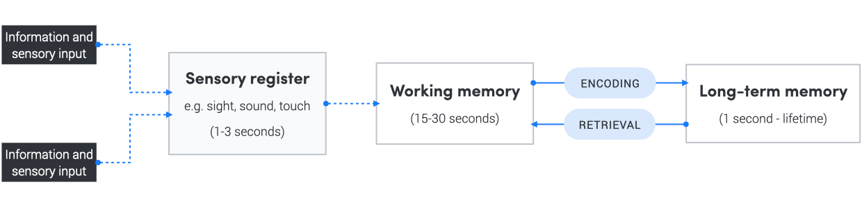 The fickle nature of our working memory | Atomi