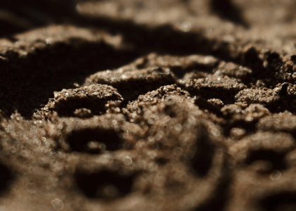 Sunview: Large Scale Solar