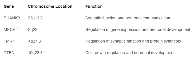 Autism Genetics, Explained