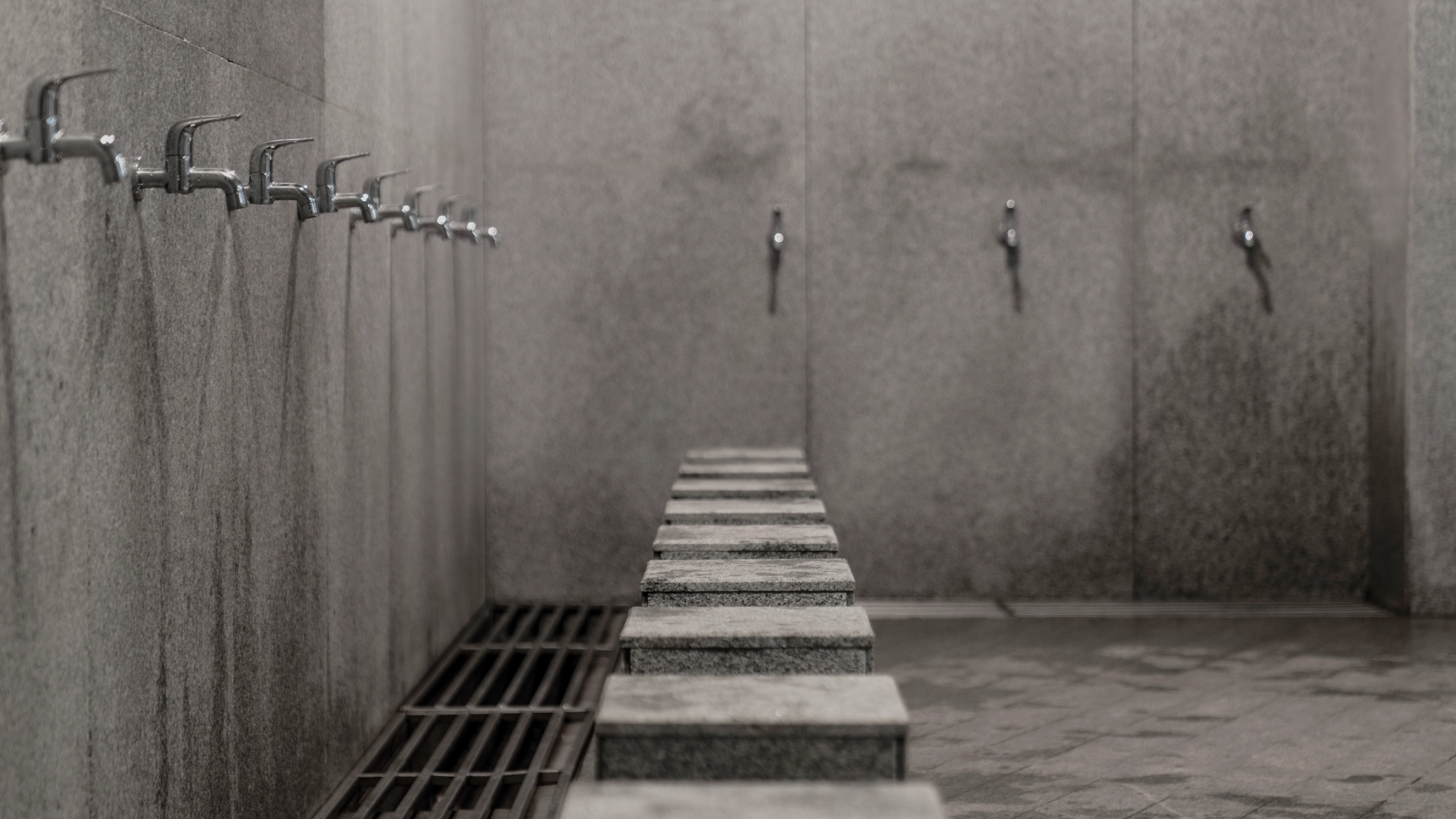 Sancta | 2+ Design Collaborative