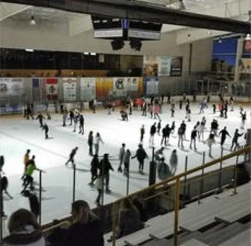 Milford Ice Pavilion - Arena Overview